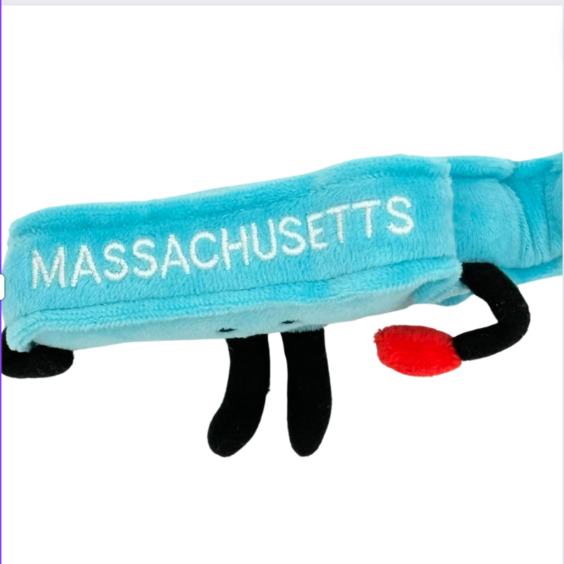 Massachusetts Magnet – Stuffed States USA