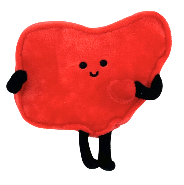 Ohio Stuffed States Magnet – Stuffed States USA