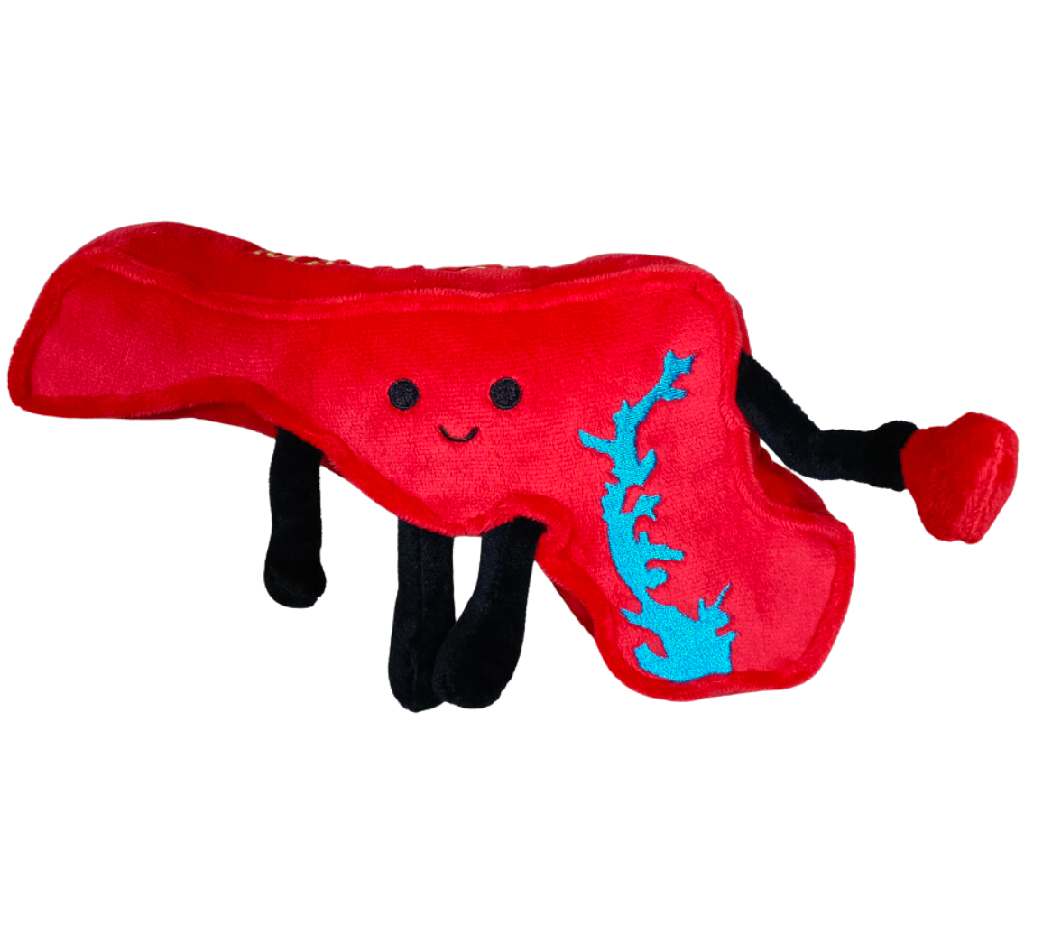 Maryland State Stuffed Plush – Stuffed States USA