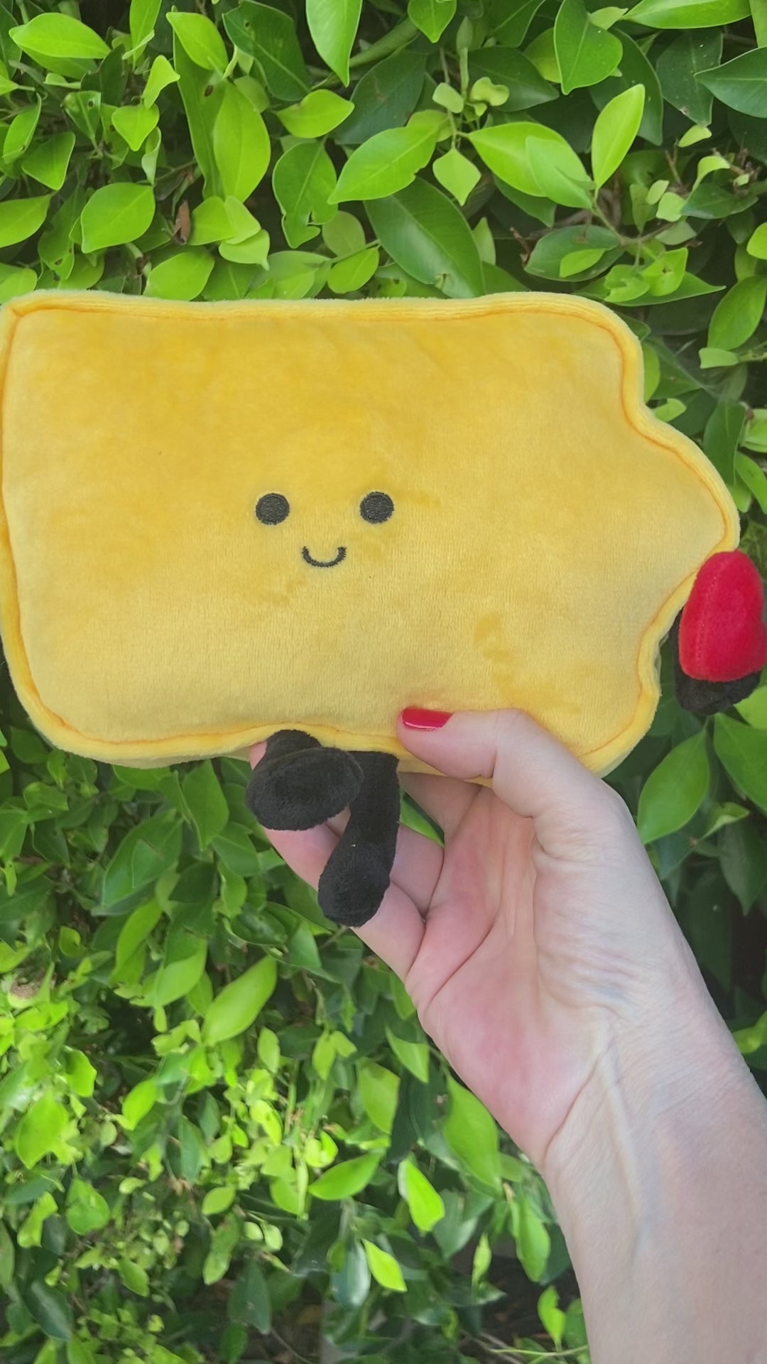 Iowa State Stuffed Plush – Stuffed States USA