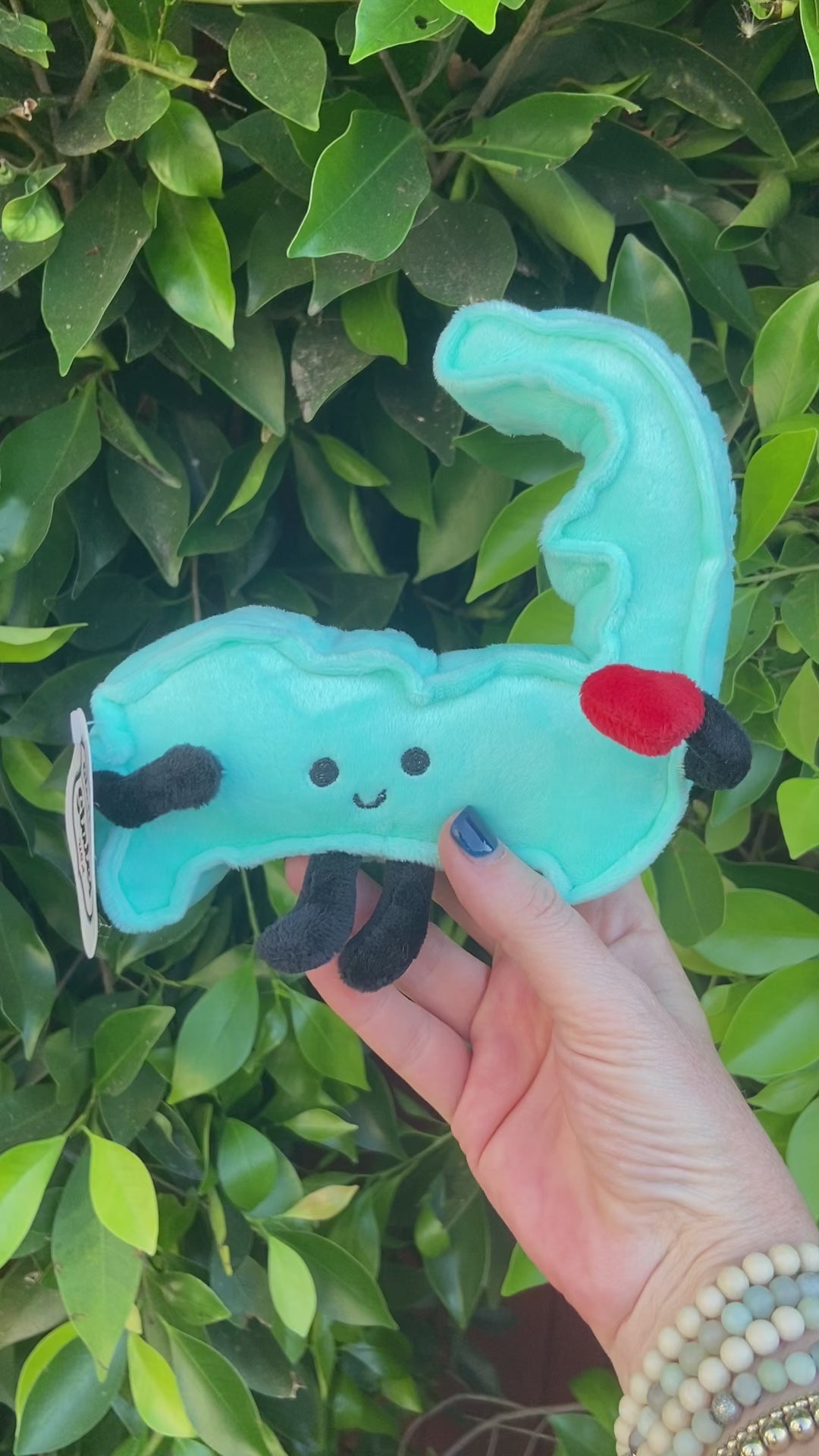 Cape Cod Stuffed Plush – Stuffed States USA